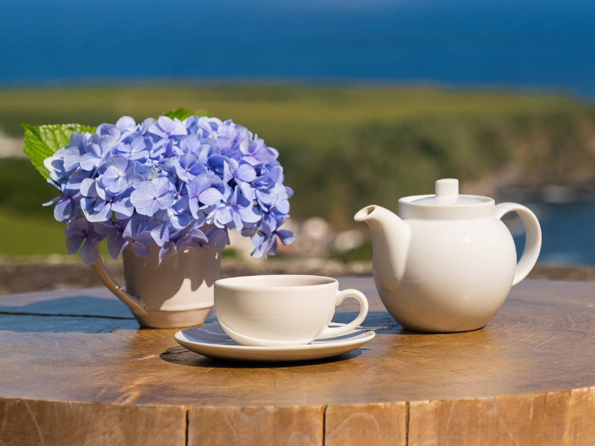 Azorean Tea - Azorean Tea